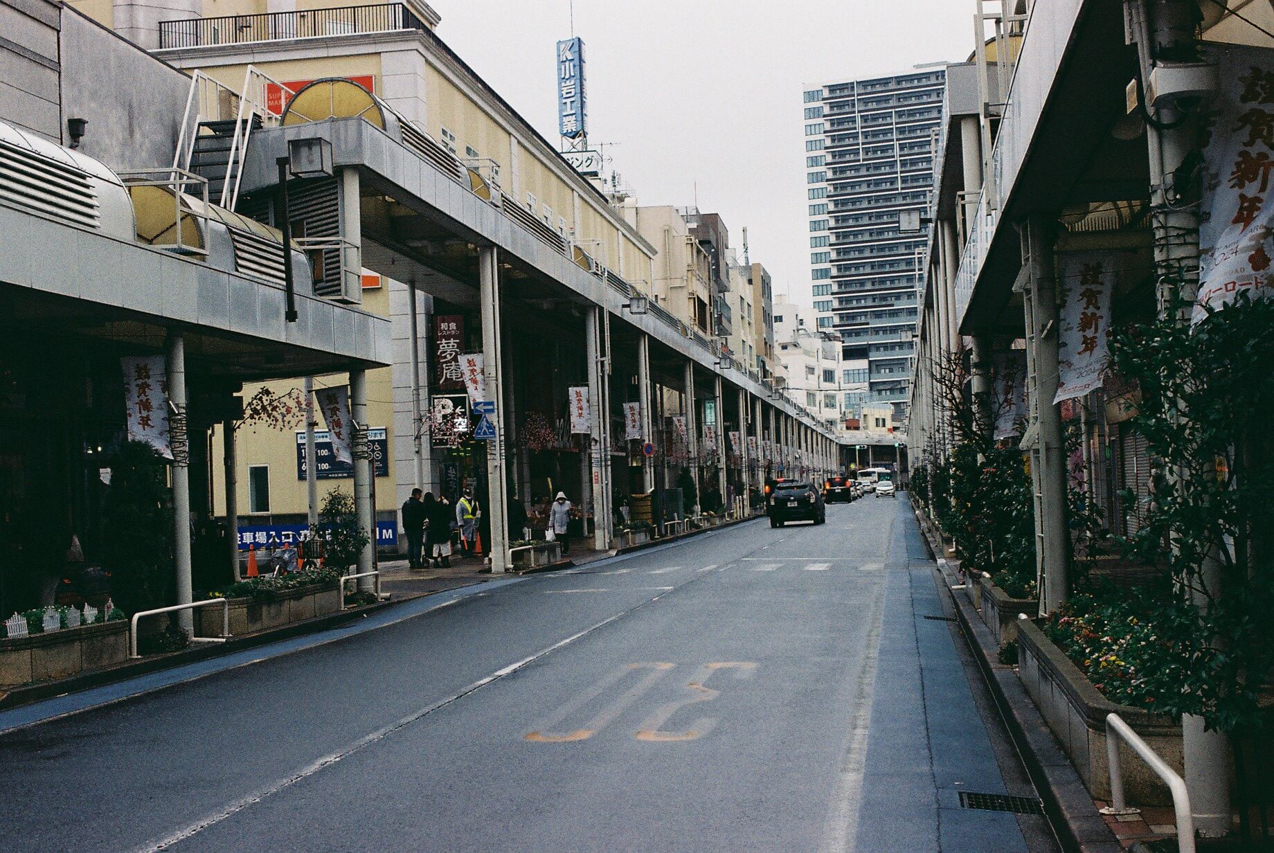 【フィルムレビュー】kodak color plus 200の写り【作例アリ】 | film-cam.com