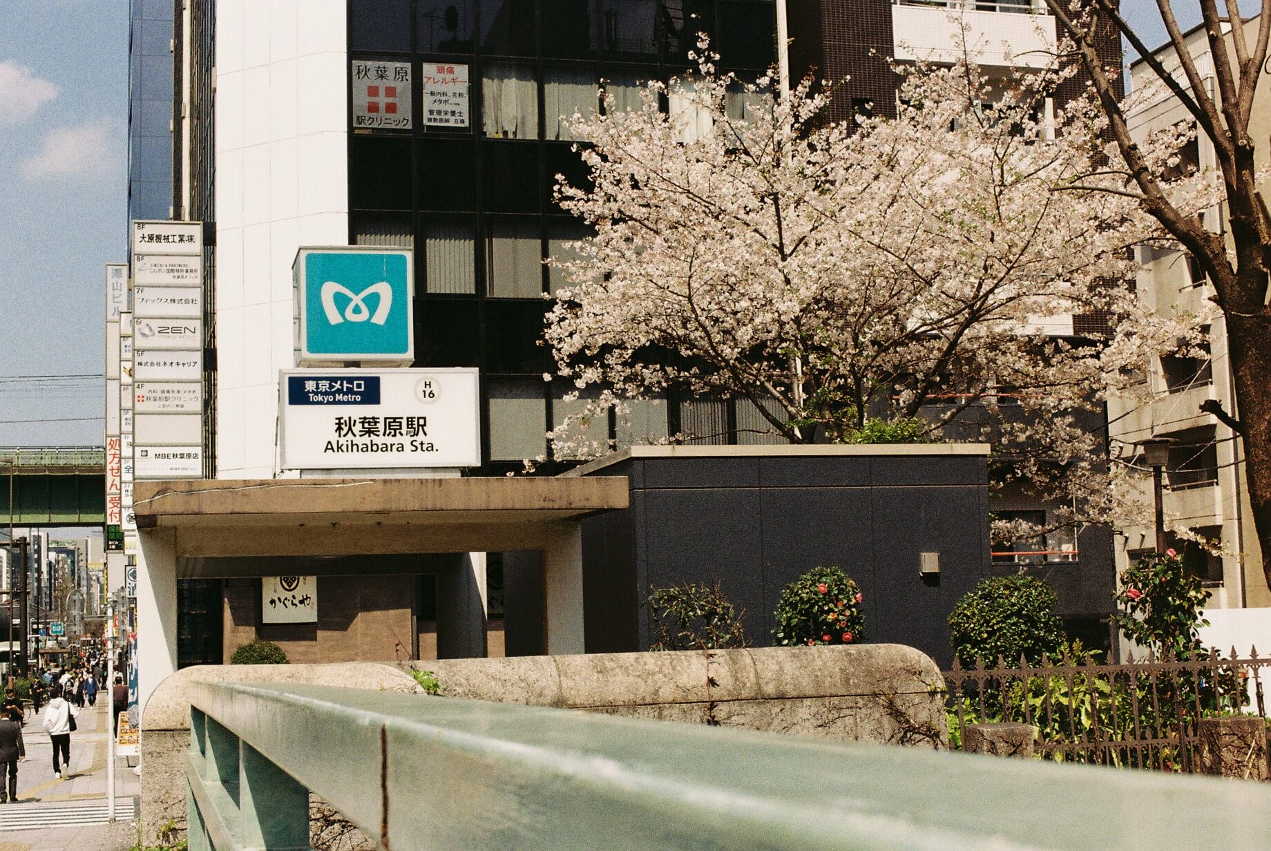 【フィルムレビュー】kodak color plus 200の写り【作例アリ】 | film-cam.com